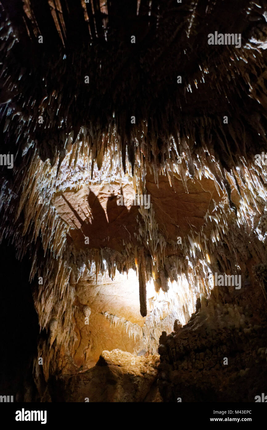 Stock Photo - Mulwaree Cave, Wombeyan Caves, Wombeyan Karst ...