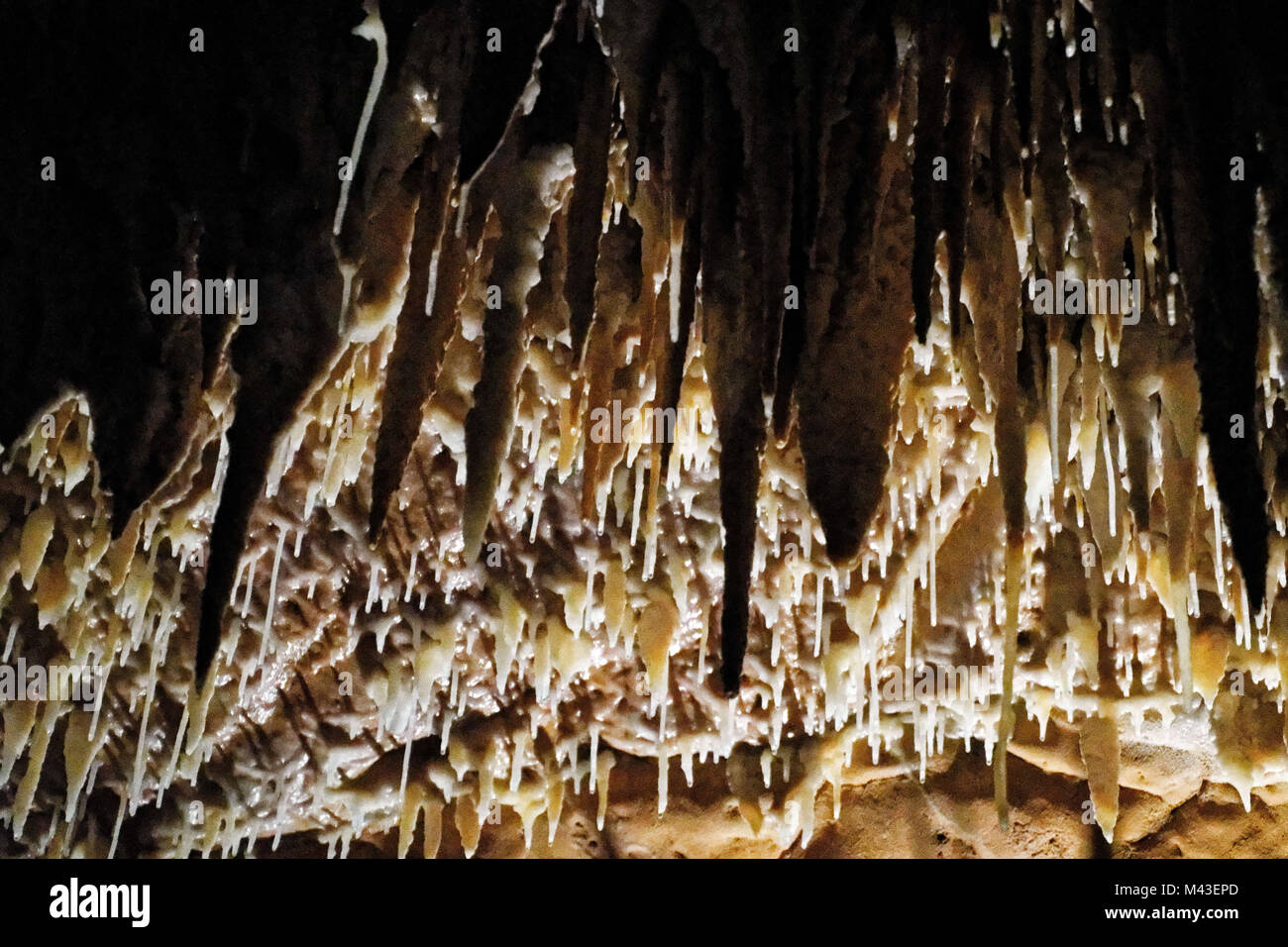 Wombeyan caves hi-res stock photography and images - Alamy