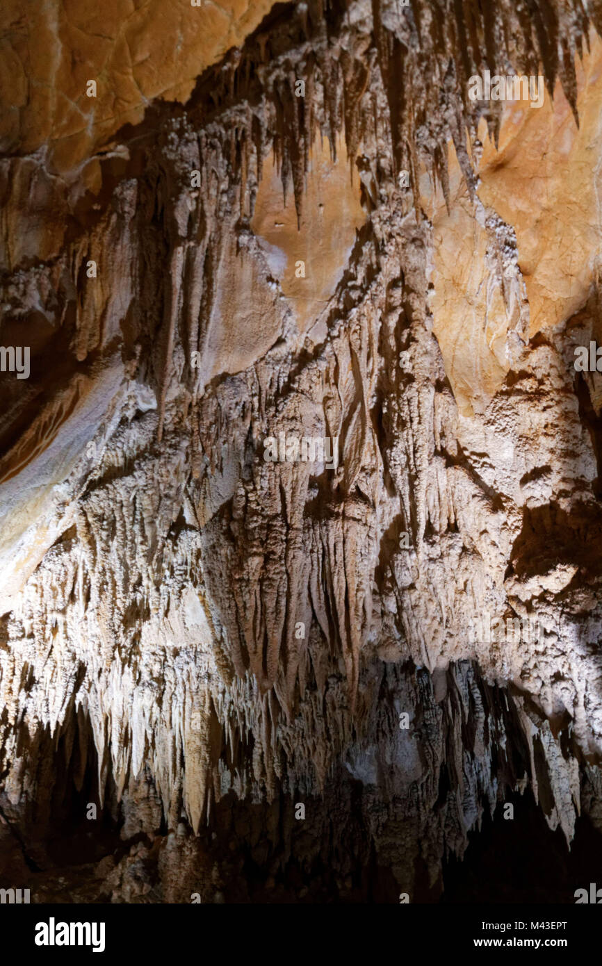 Stock Photo - Mulwaree Cave, Wombeyan Caves, Wombeyan Karst ...