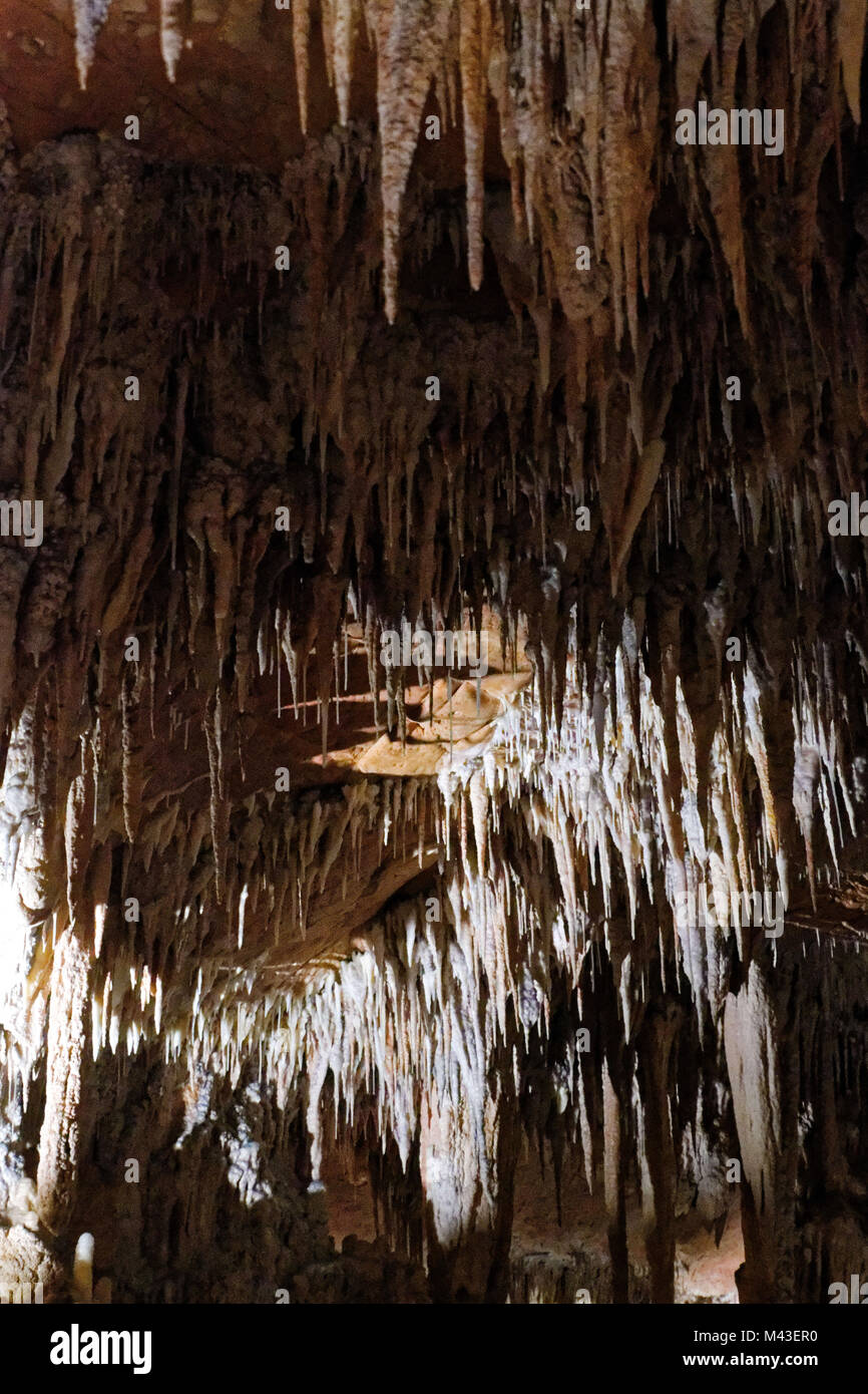 Stock Photo - Mulwaree Cave, Wombeyan Caves, Wombeyan Karst ...