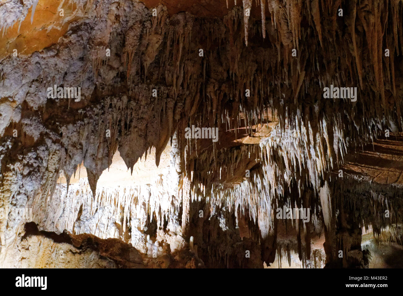 Stock Photo - Mulwaree Cave, Wombeyan Caves, Wombeyan Karst ...