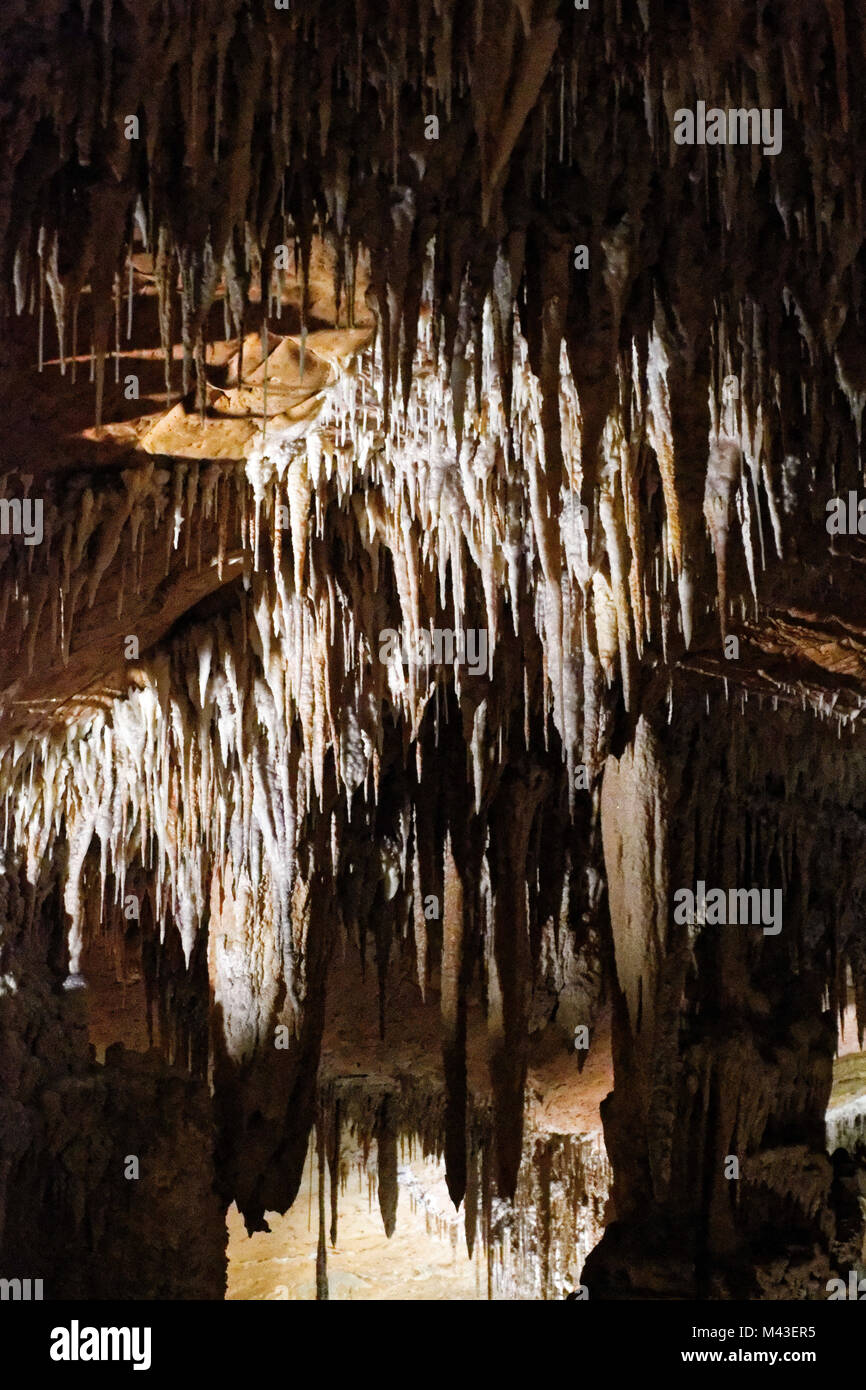 Stock Photo - Mulwaree Cave, Wombeyan Caves, Wombeyan Karst ...