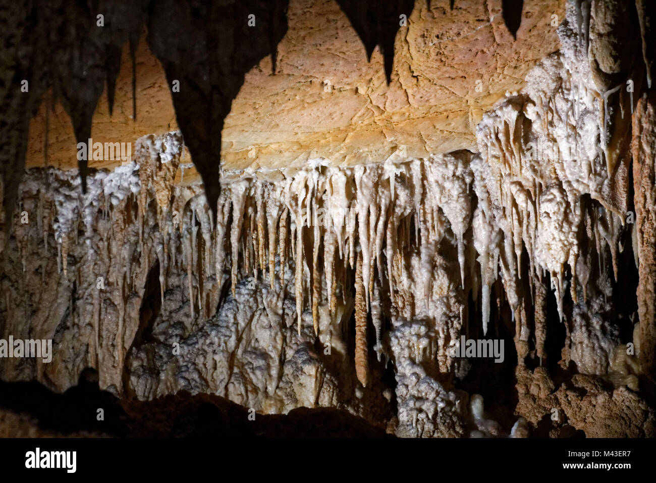 Stock Photo - Mulwaree Cave, Wombeyan Caves, Wombeyan Karst ...