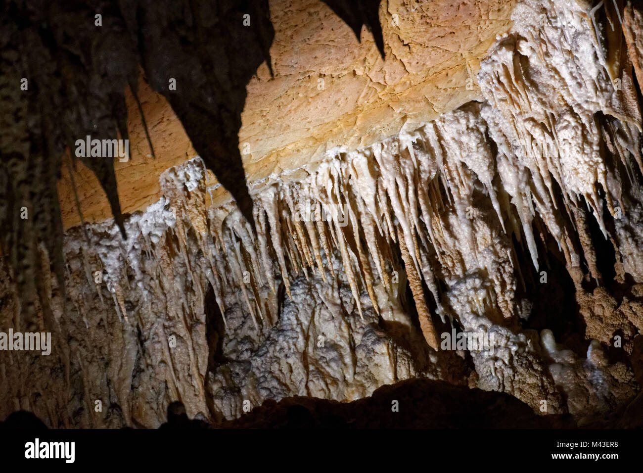Wombeyan caves australia hi-res stock photography and images - Alamy