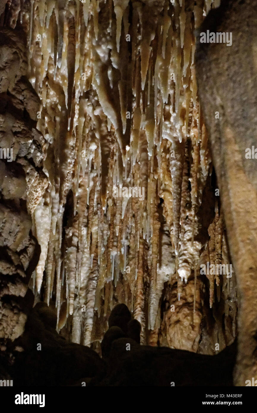 Wombeyan karst hi-res stock photography and images - Alamy