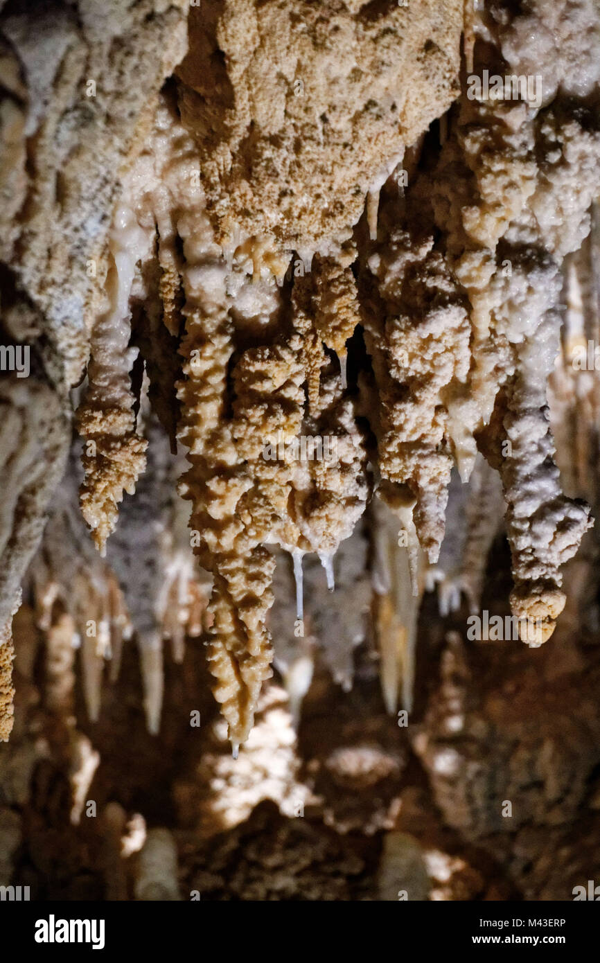 Stock Photo - Mulwaree Cave, Wombeyan Caves, Wombeyan Karst ...