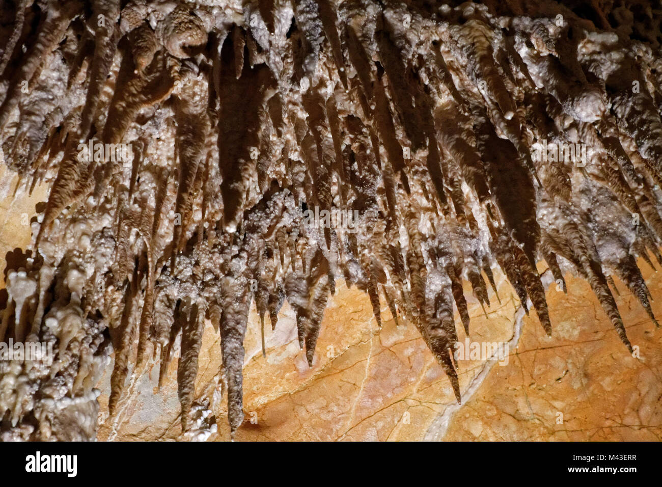 Stock Photo - Mulwaree Cave, Wombeyan Caves, Wombeyan Karst ...