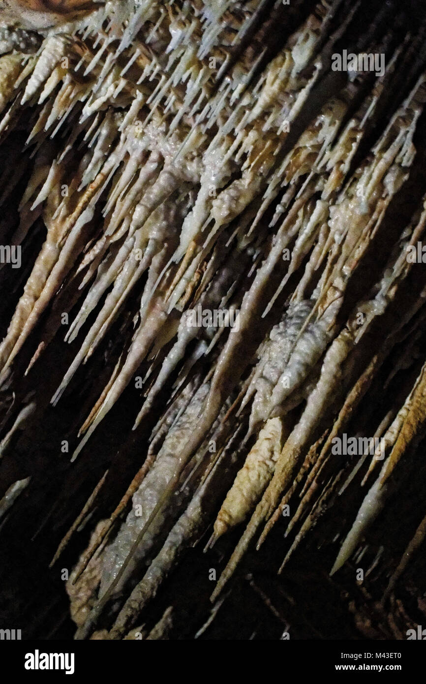 Stock Photo - Mulwaree Cave, Wombeyan Caves, Wombeyan Karst ...