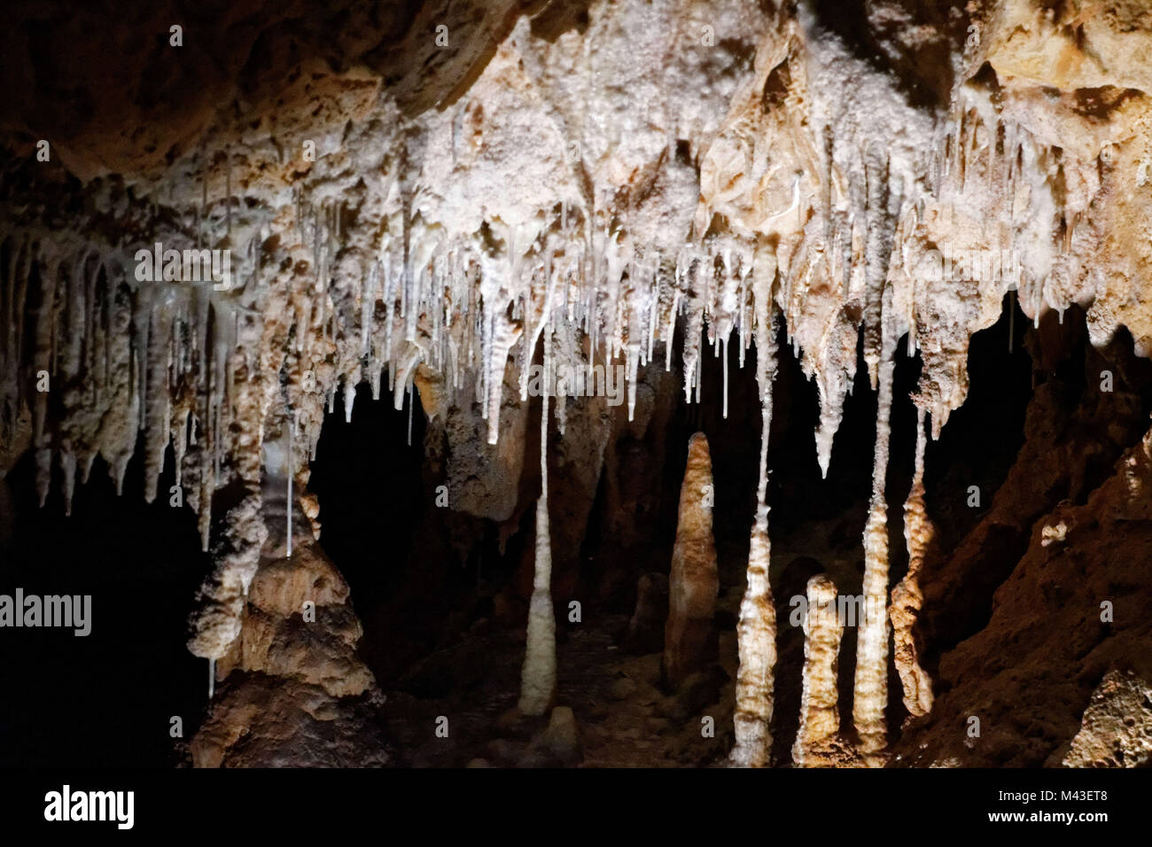 Stock Photo - Mulwaree Cave, Wombeyan Caves, Wombeyan Karst ...