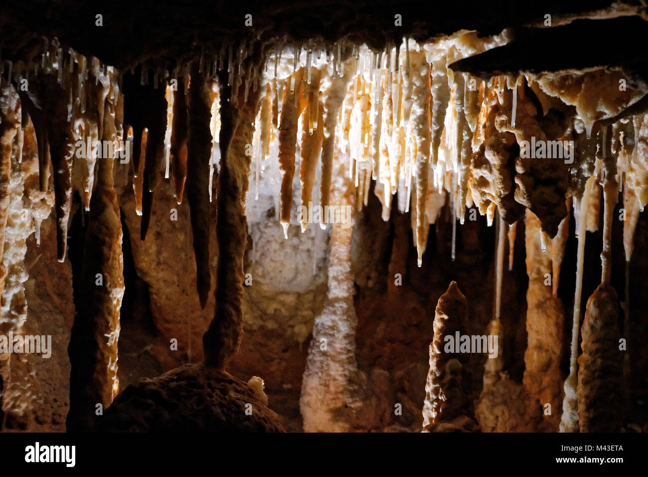 Stock Photo - Mulwaree Cave, Wombeyan Caves, Wombeyan Karst ...