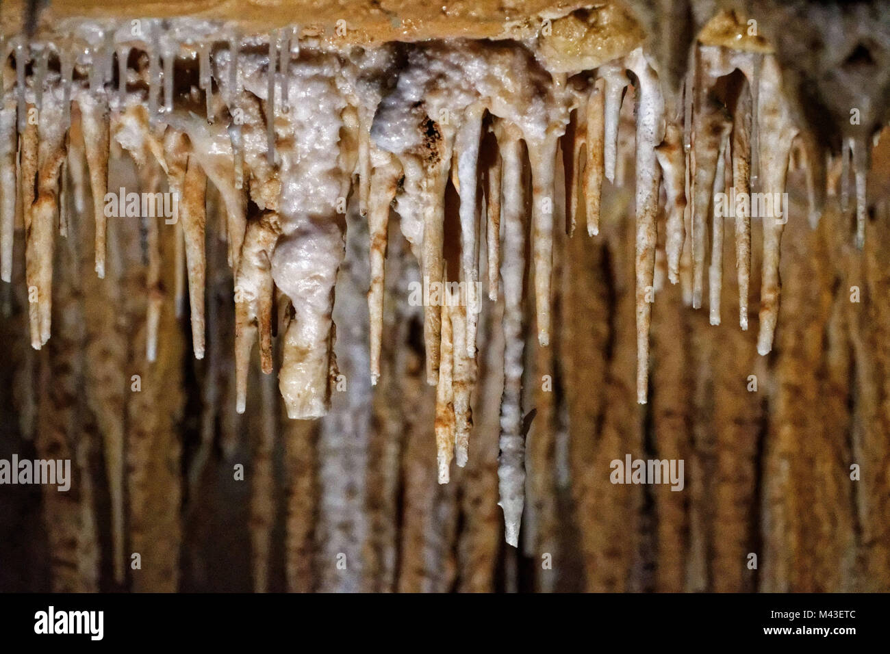 Stock Photo - Mulwaree Cave, Wombeyan Caves, Wombeyan Karst ...