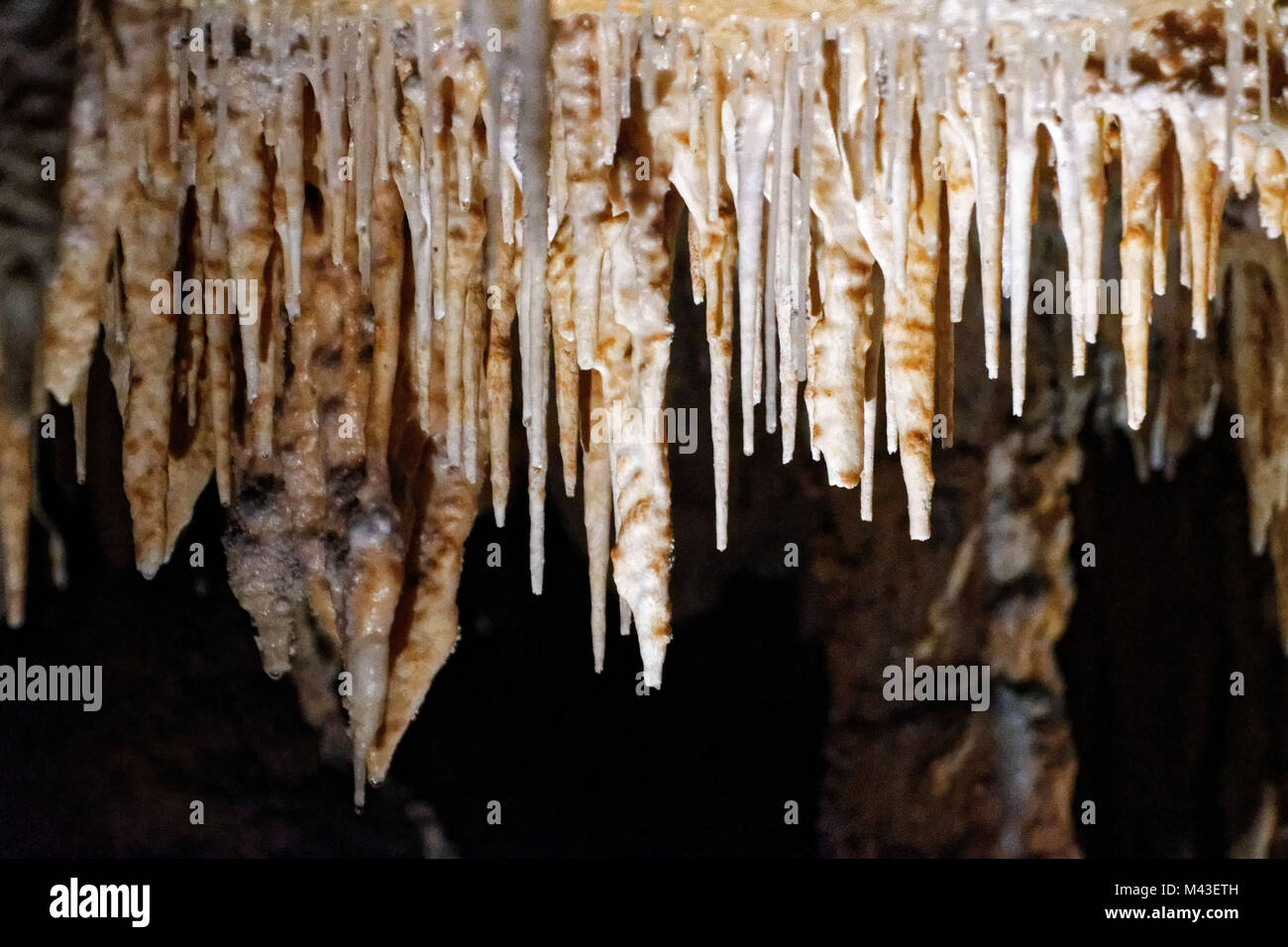 Stock Photo - Mulwaree Cave, Wombeyan Caves, Wombeyan Karst ...