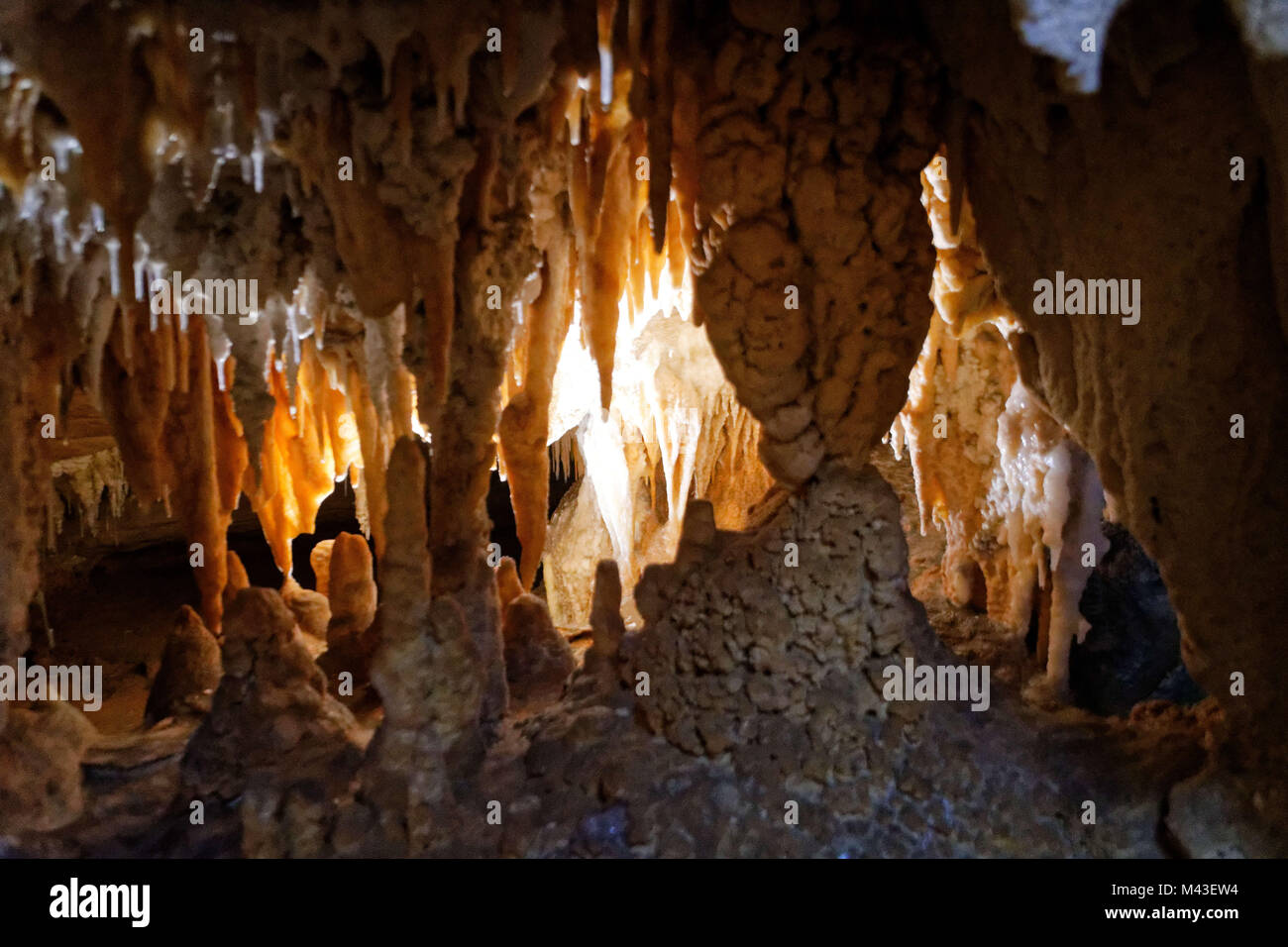 Stock Photo - Mulwaree Cave, Wombeyan Caves, Wombeyan Karst ...