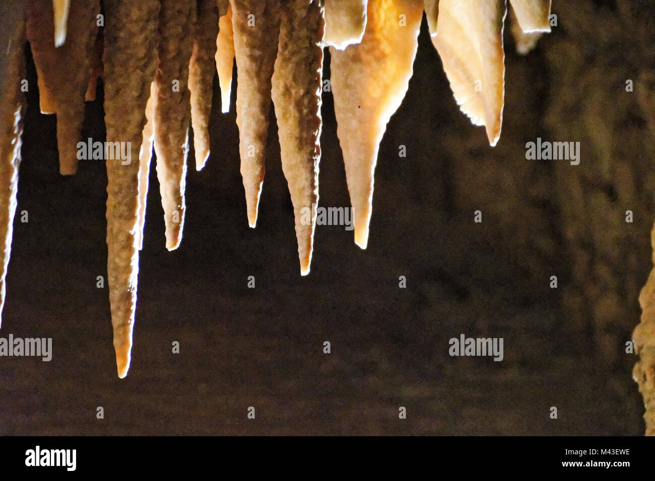 Stock Photo - Mulwaree Cave, Wombeyan Caves, Wombeyan Karst ...