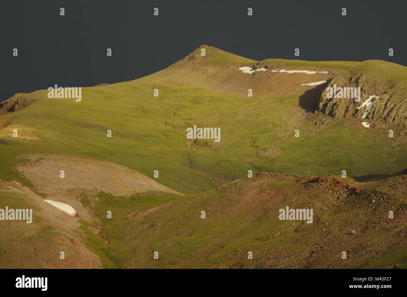 Above the timberline hi-res stock photography and images - Alamy