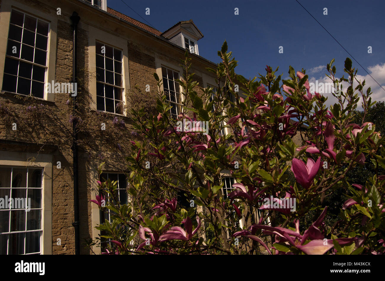 The historic buildings of Frome, Somerset, England Stock Photo - Alamy