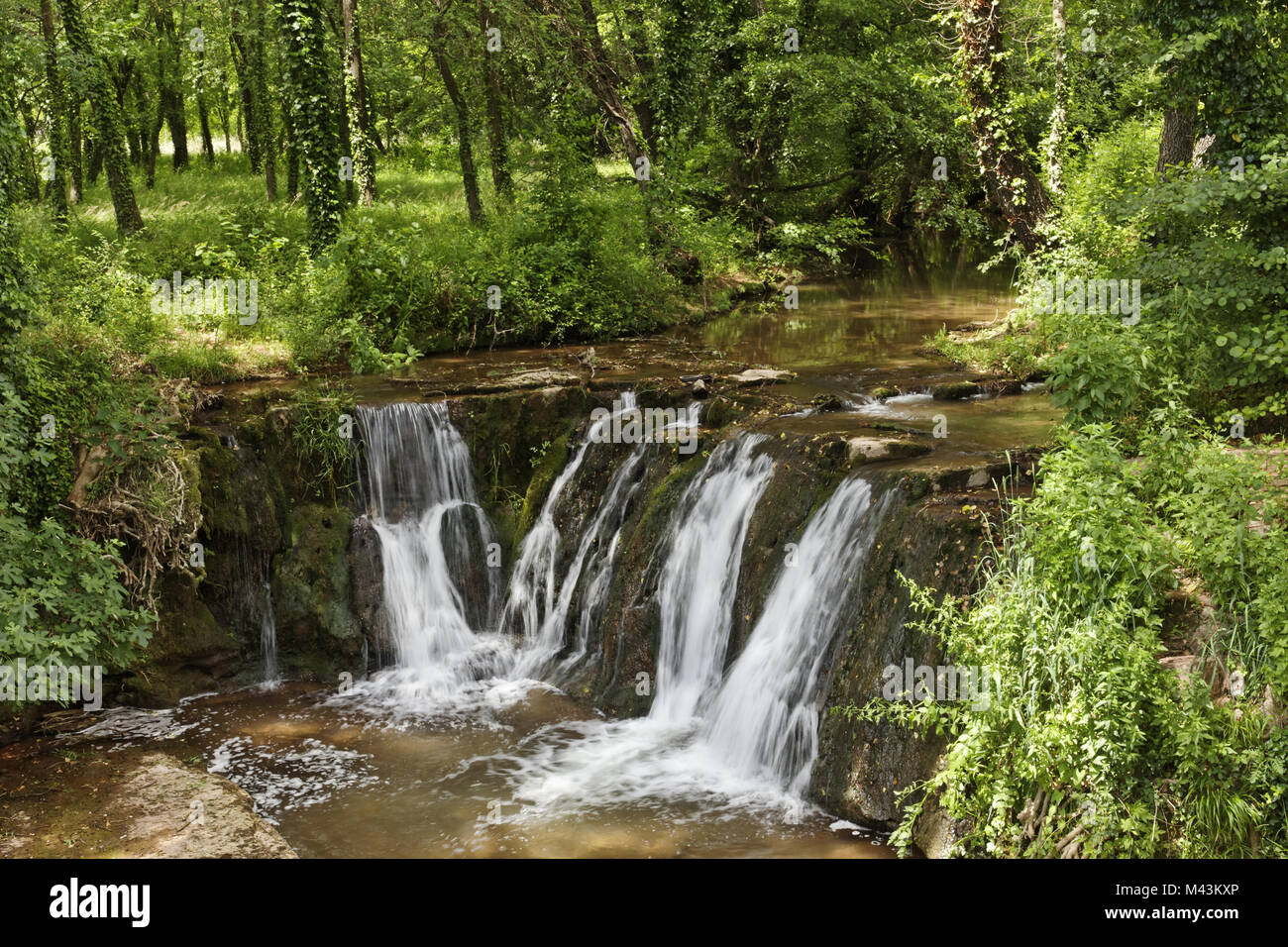 Waterfall, Massif des Maures, Provence, France Stock Photo - Alamy