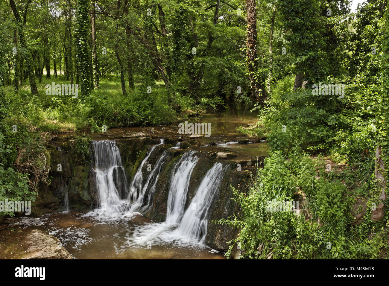 Waterfall, Massif des Maures, Provence, France Stock Photo - Alamy