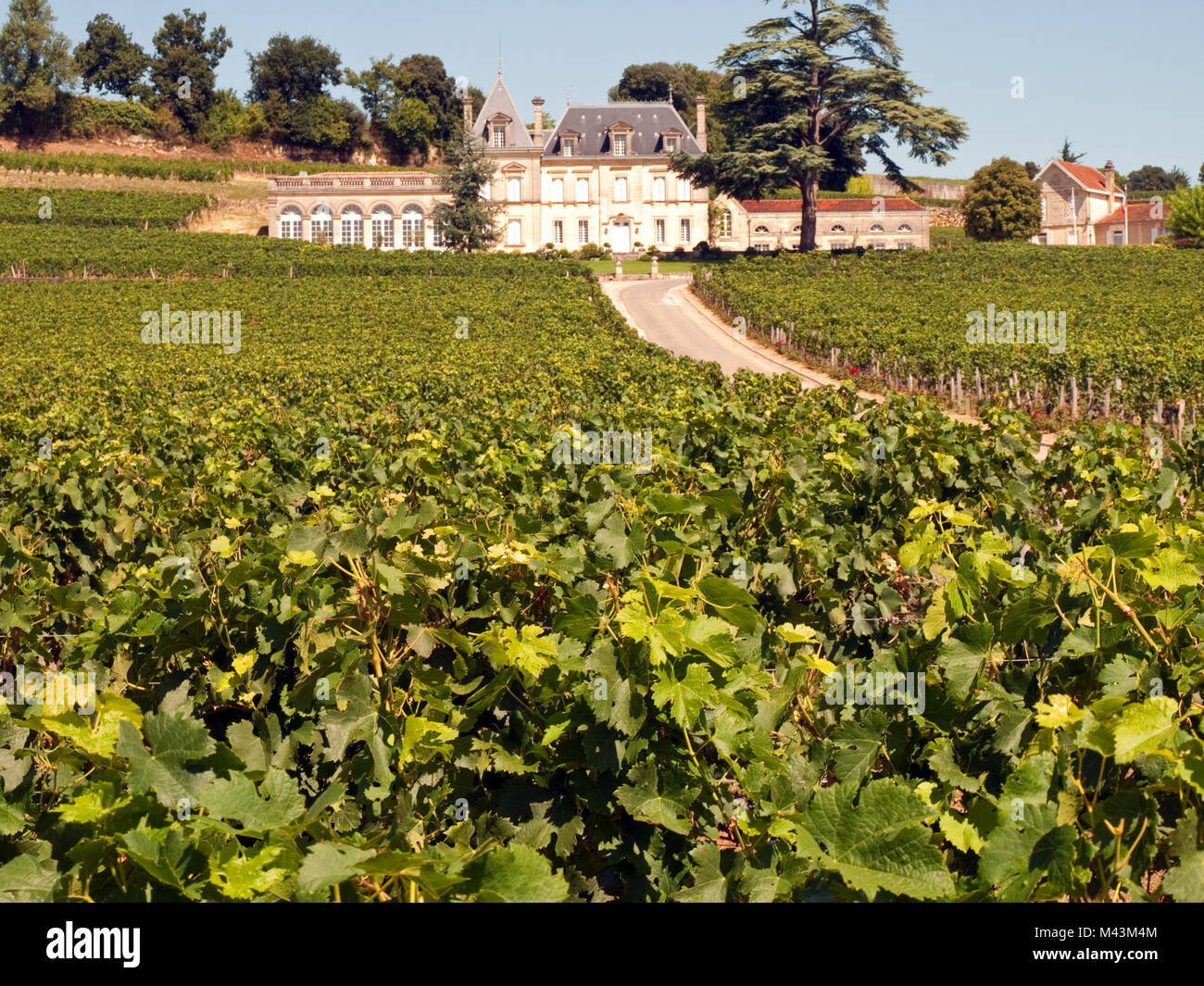 Grand cru classe hi-res stock photography and images - Alamy