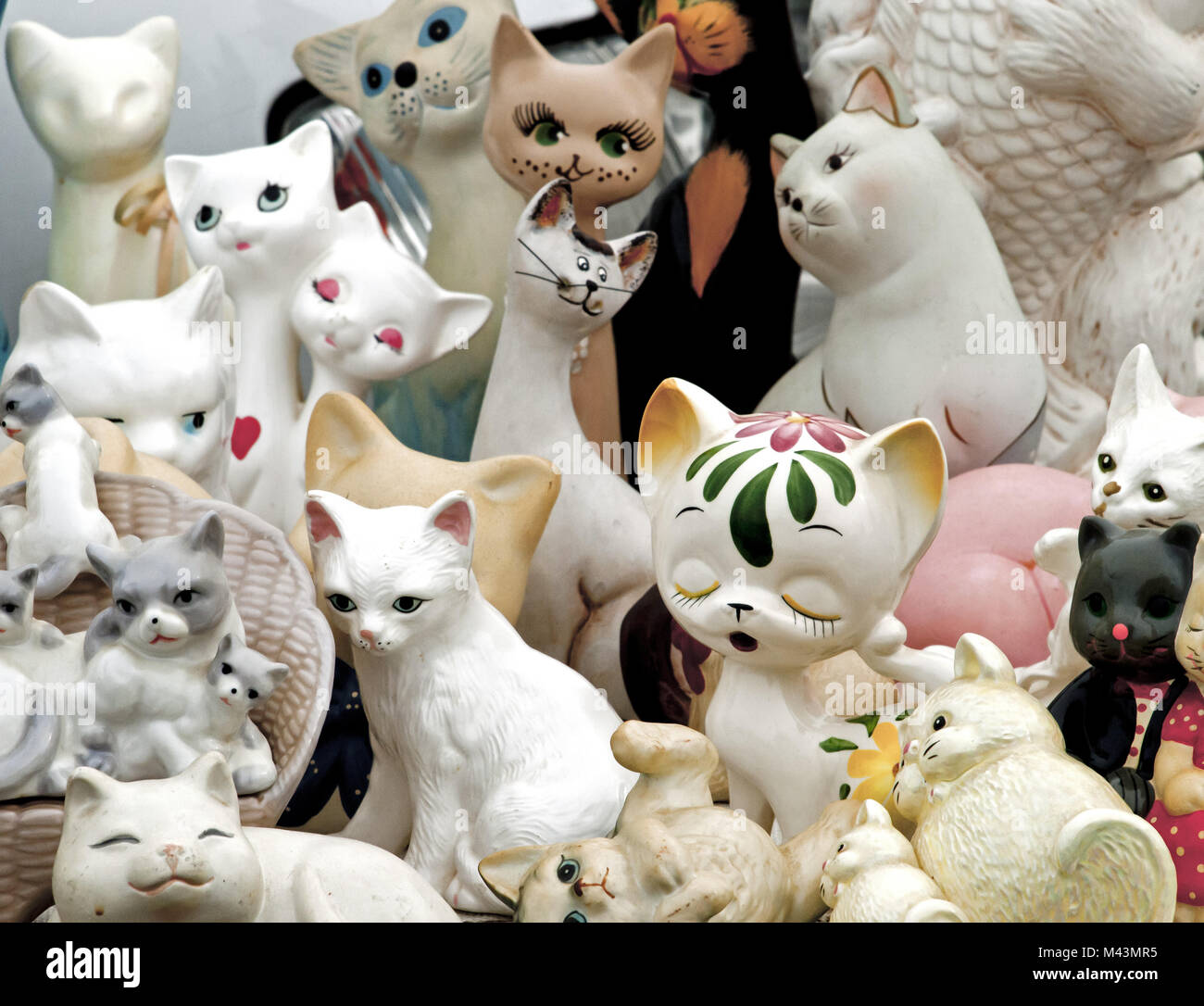 cats, only cats Stock Photo - Alamy