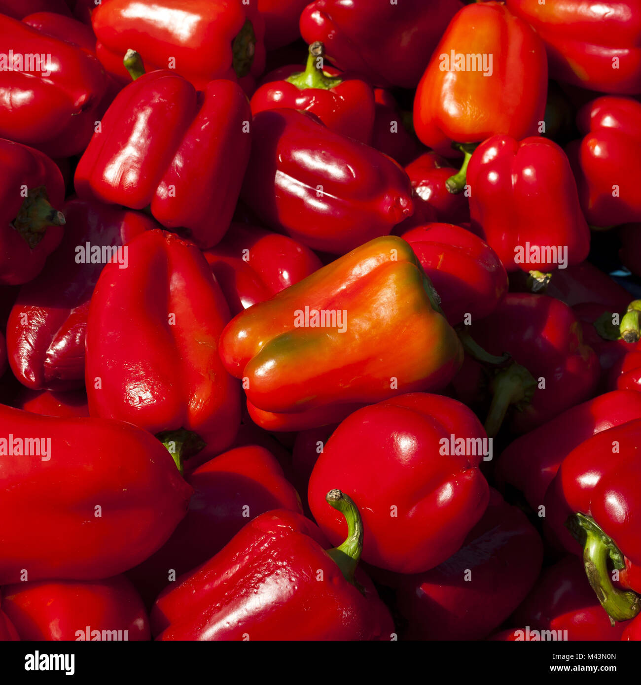 Market pepper hi-res stock photography and images - Alamy