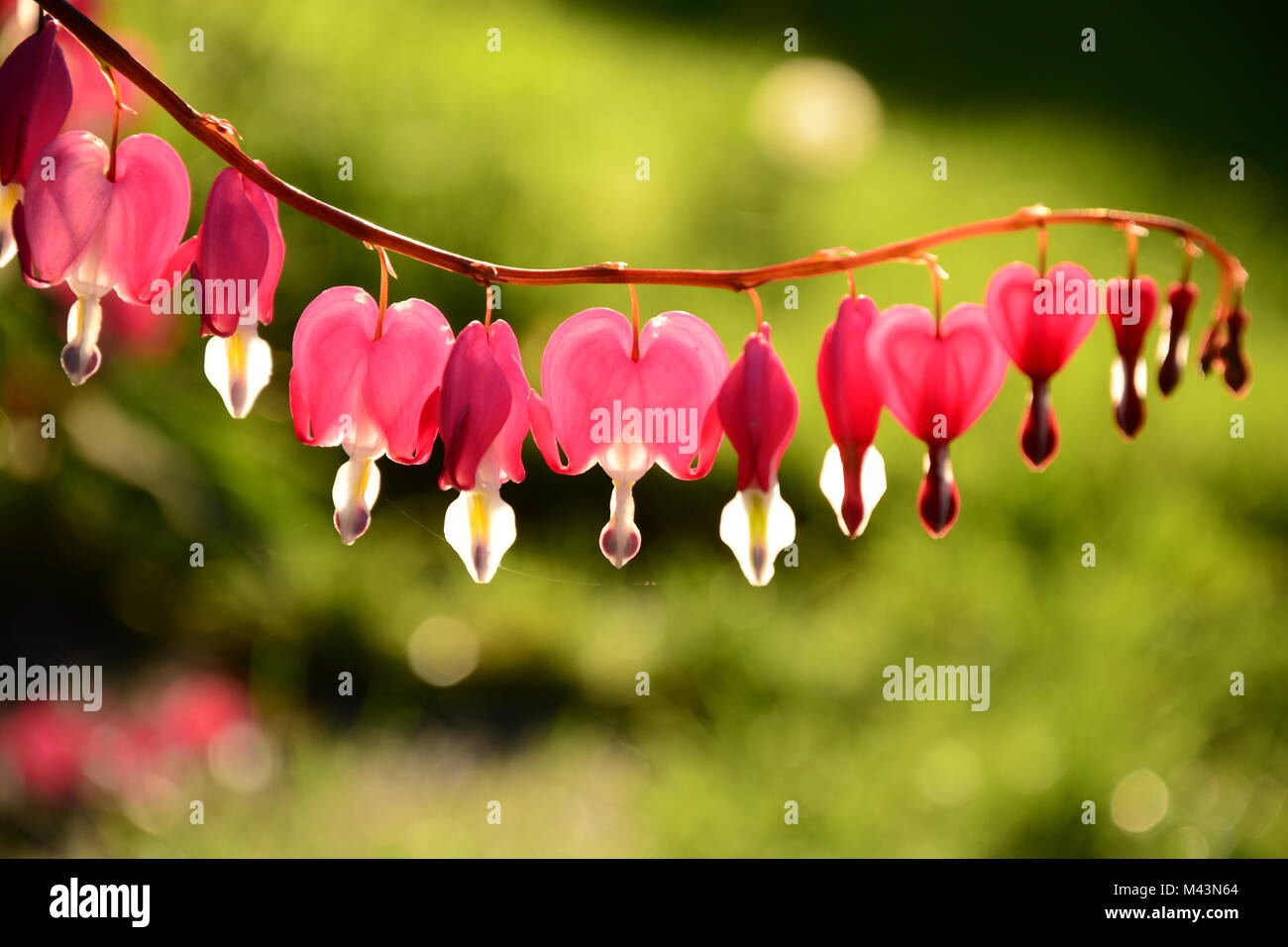 Crying heart hi-res stock photography and images - Alamy