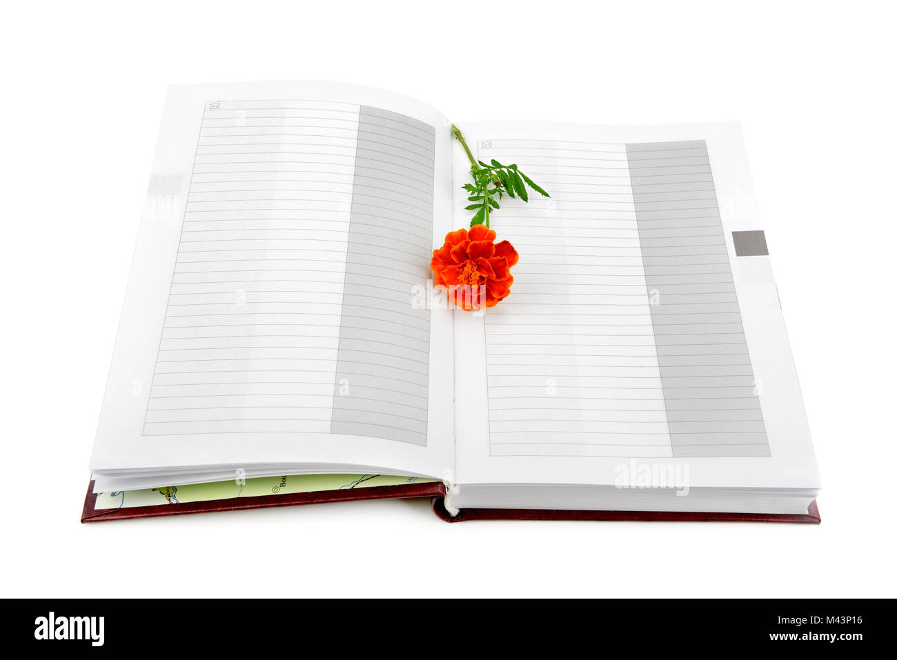 Book and flower isolated on white background Stock Photo - Alamy