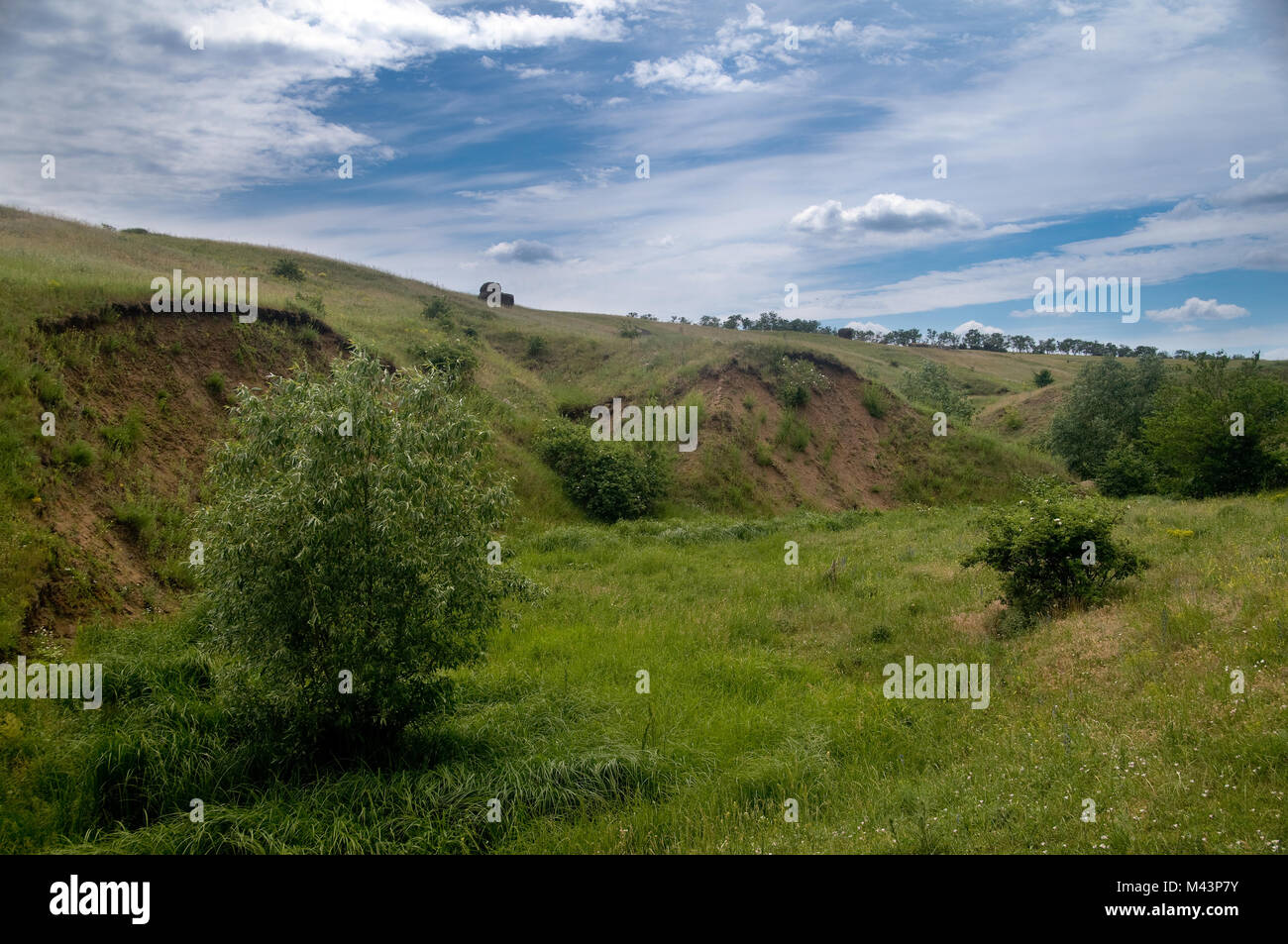 Kazakh steppe field hi-res stock photography and images - Alamy