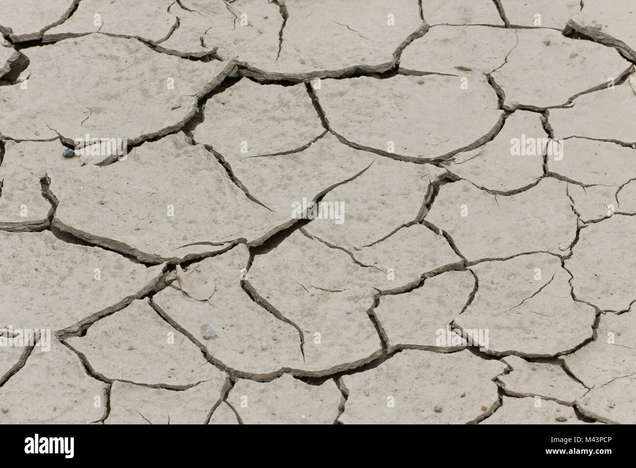 Ost korsika hi-res stock photography and images - Alamy