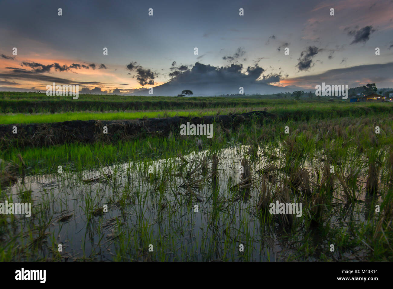 Padang is the capital of West Sumatra. The town is quite nice and ...