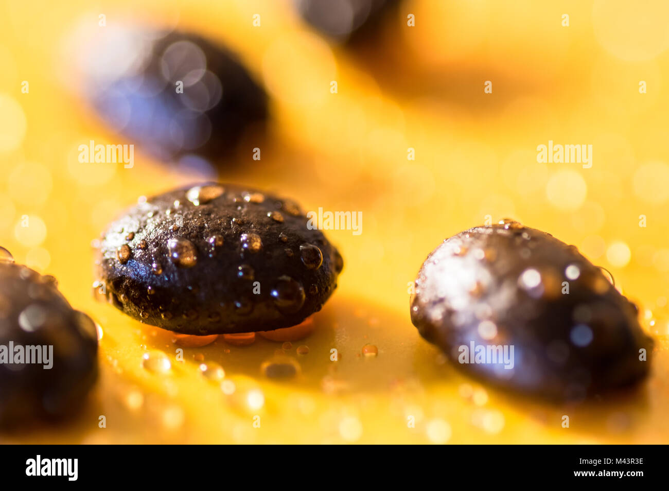 Grain de café Stock Photo - Alamy