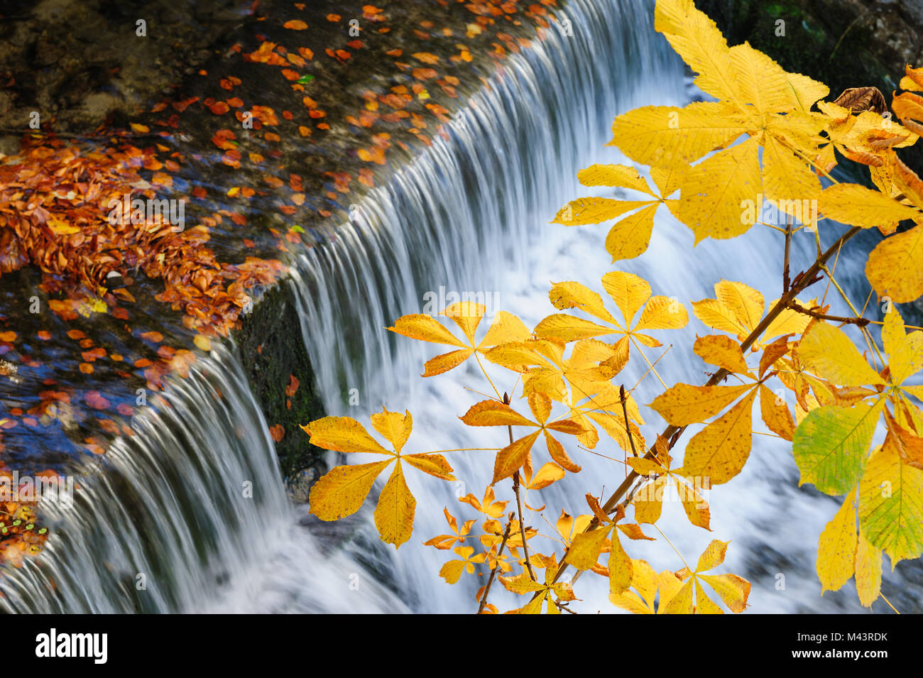 Waterfall at autumn Stock Photo - Alamy