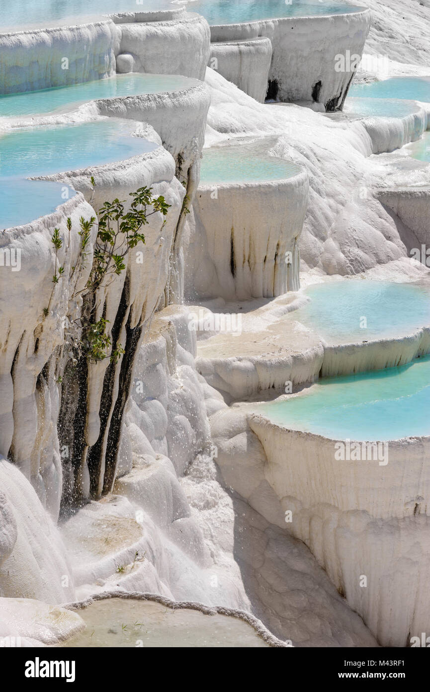 Travertine pools and terraces in Pamukkale, Turkey Stock Photo - Alamy
