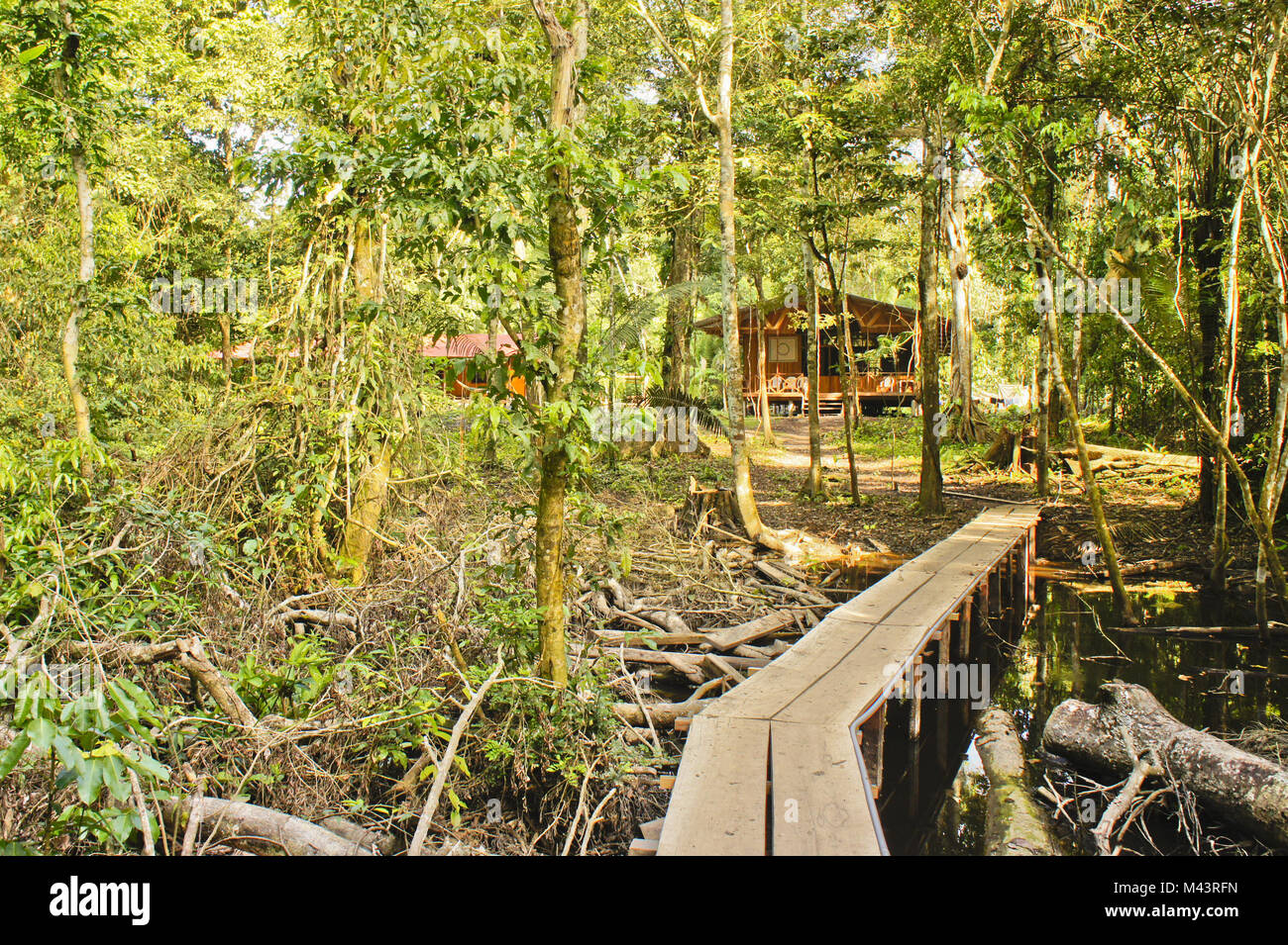 Amazon house hi-res stock photography and images - Alamy