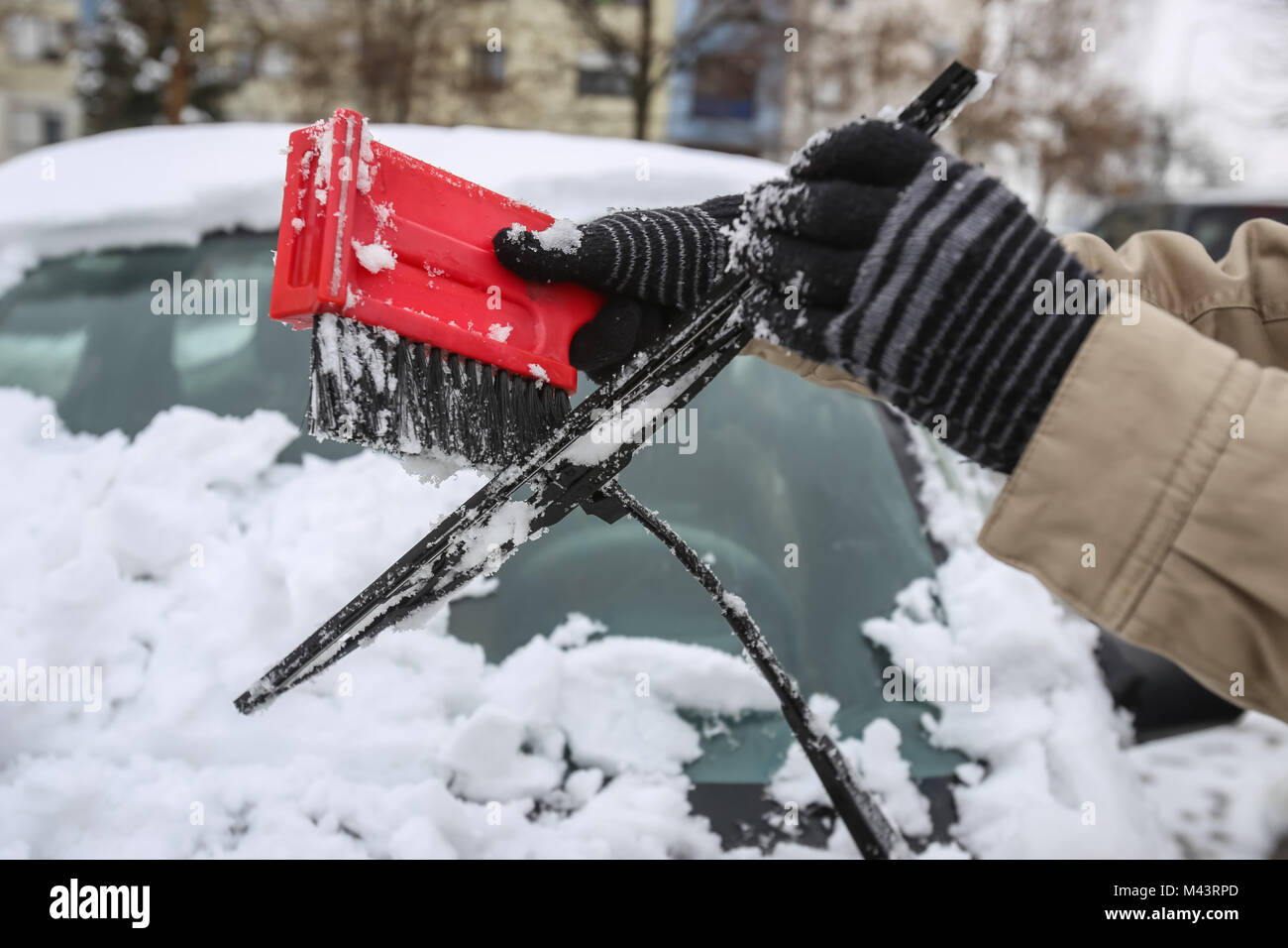 A woman cleaning the snow off the windshield wiper on a car in winter ...