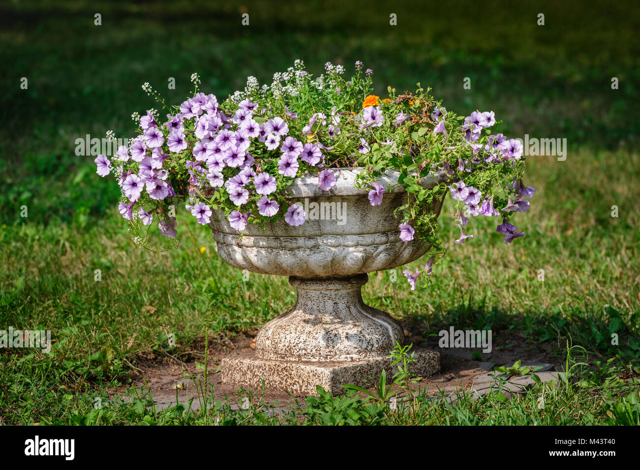 flower pot in the park Stock Photo - Alamy