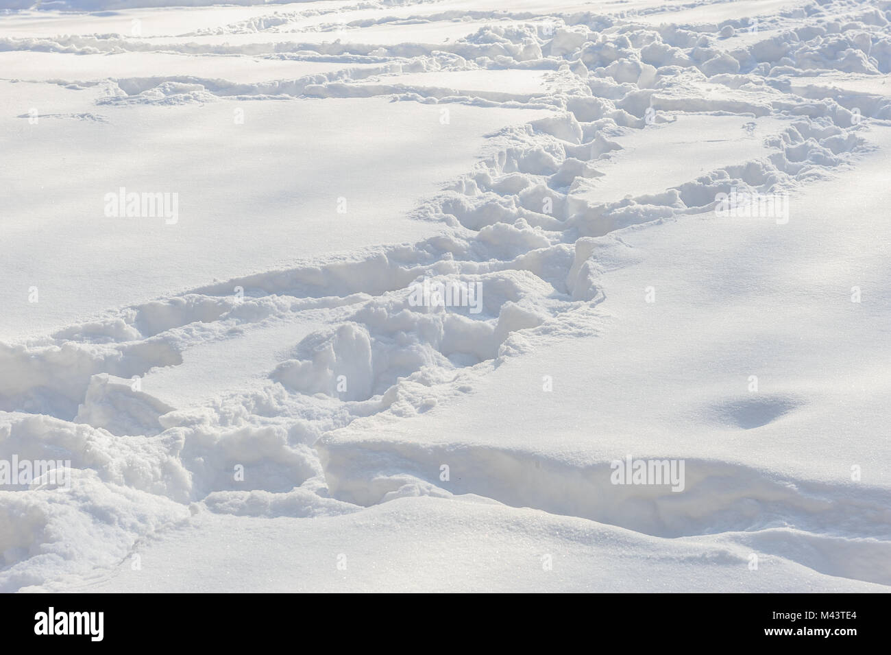 tracks on the snow Stock Photo - Alamy