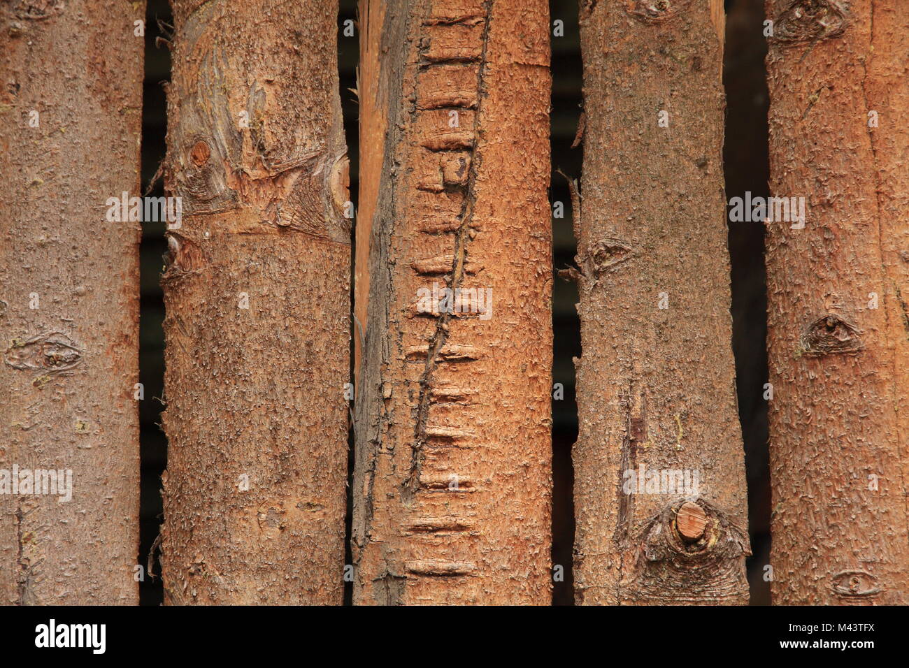 Full frame logs hi-res stock photography and images - Alamy