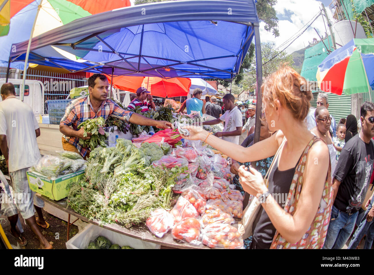 Cherry merchant hi-res stock photography and images - Alamy