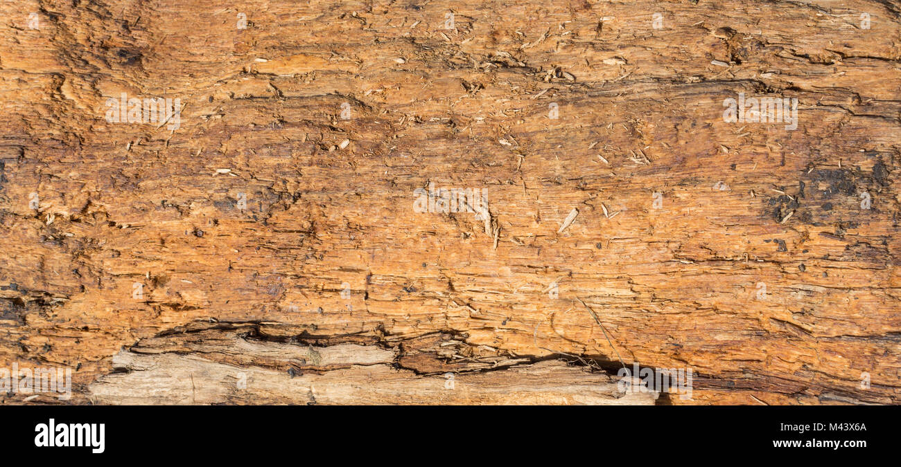 Surface timber hi-res stock photography and images - Alamy