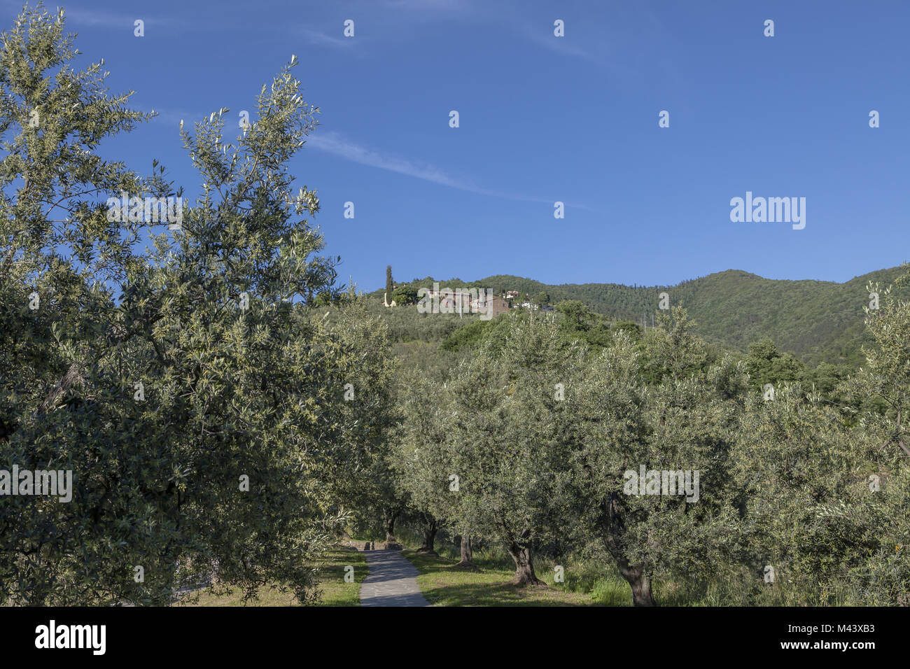 Anchiano High Resolution Stock Photography and Images - Alamy