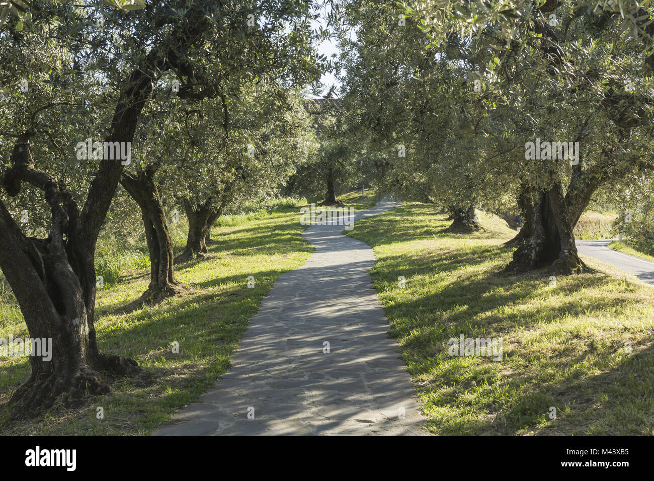 Anchiano hi-res stock photography and images - Alamy