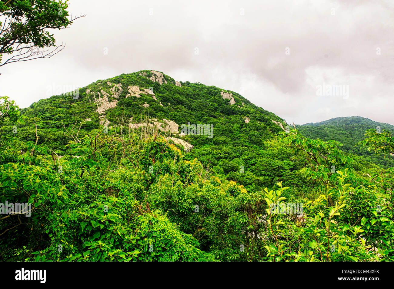 The mountains of Putuo island Putuoshan in Zhejiang Province China on ...