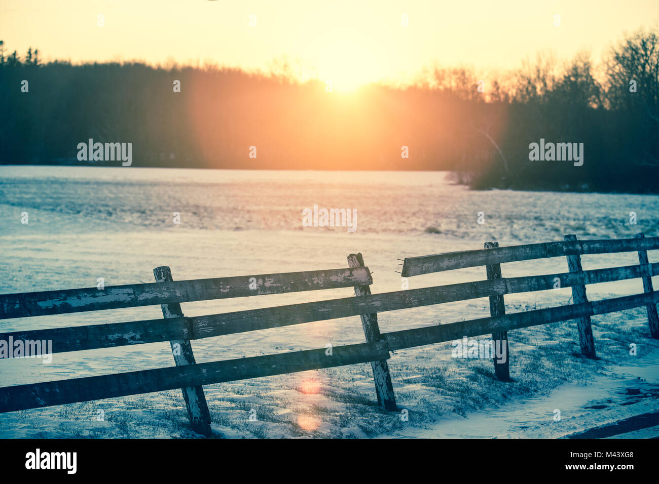 Rustic branches fence hi-res stock photography and images - Alamy