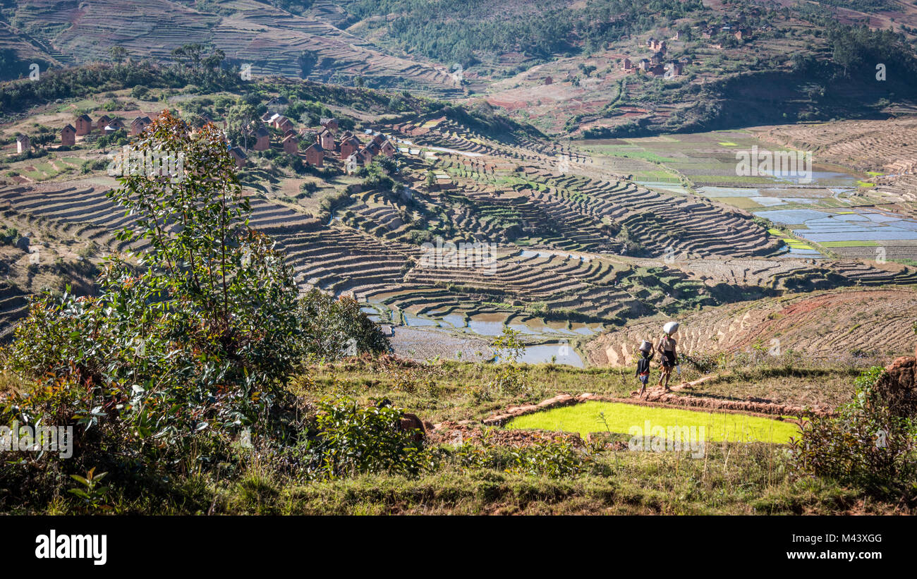 Southern madagascar hi-res stock photography and images - Alamy