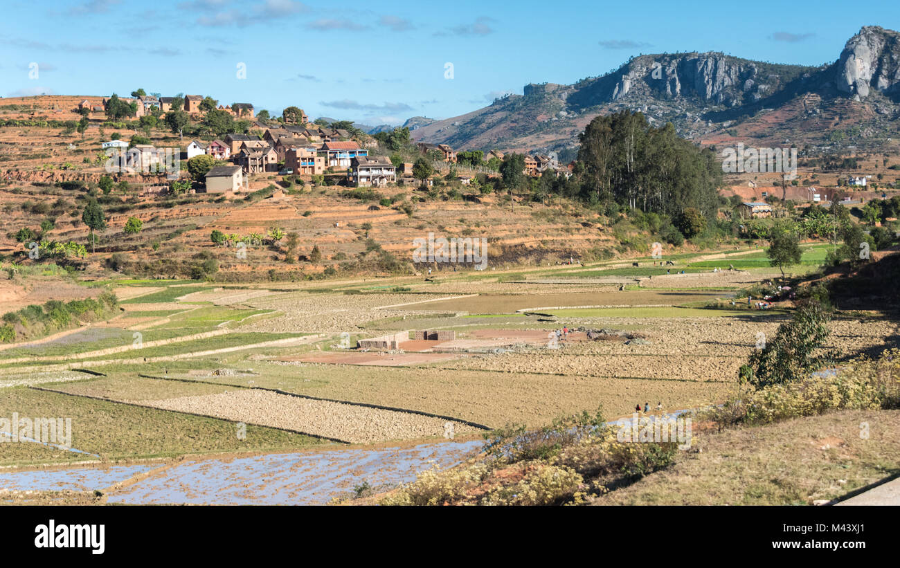 Rural Landscape with Rice Fields and Village, Southern Madagascar Stock ...