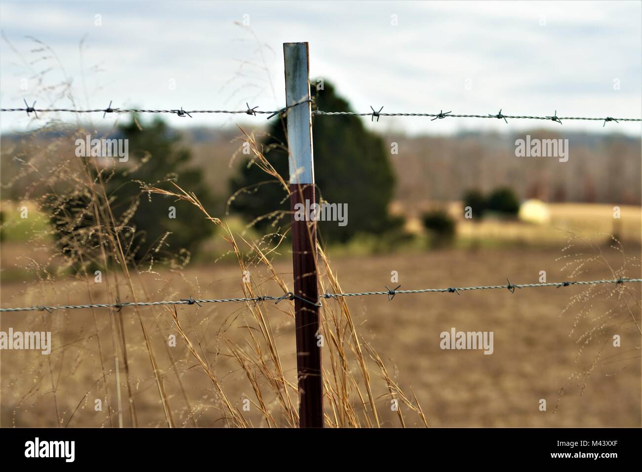 Tangled fence wire hi-res stock photography and images - Alamy