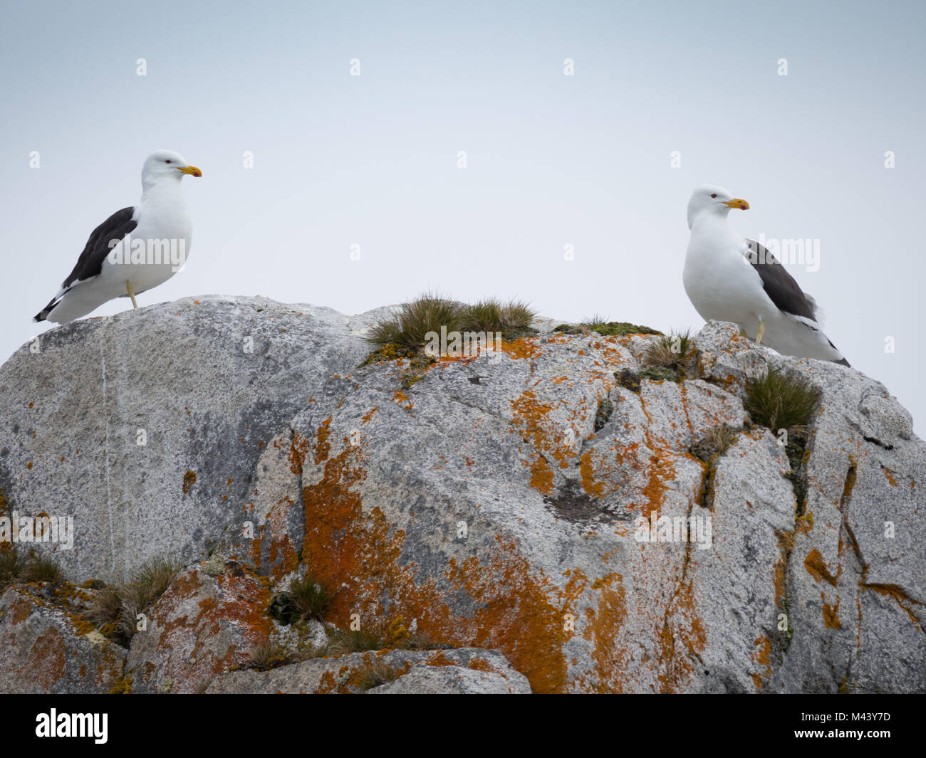 Rust And Gray Rocks High Resolution Stock Photography and Images - Alamy