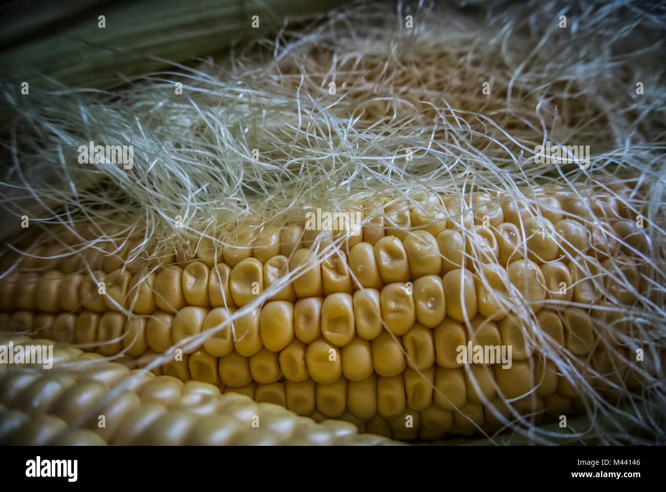 Food maize golden corn hi-res stock photography and images - Alamy