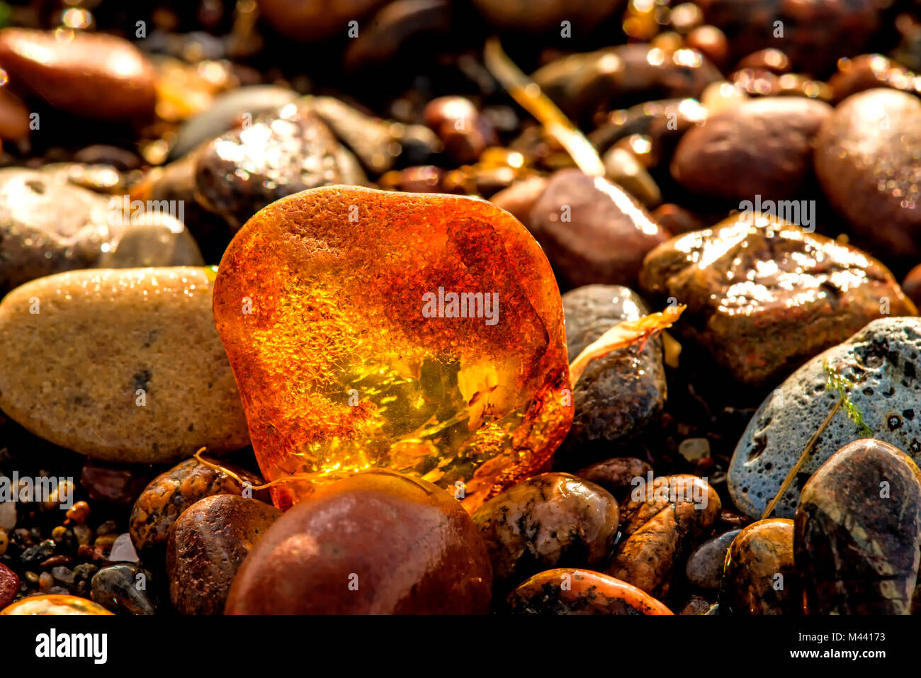 Amber on a beach of the Baltic Sea in the surf Stock Photo - Alamy